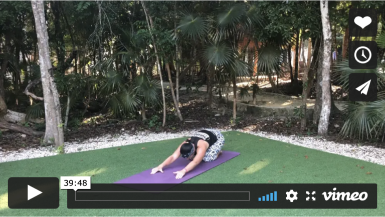 Supple Strength - SanFran Fitness