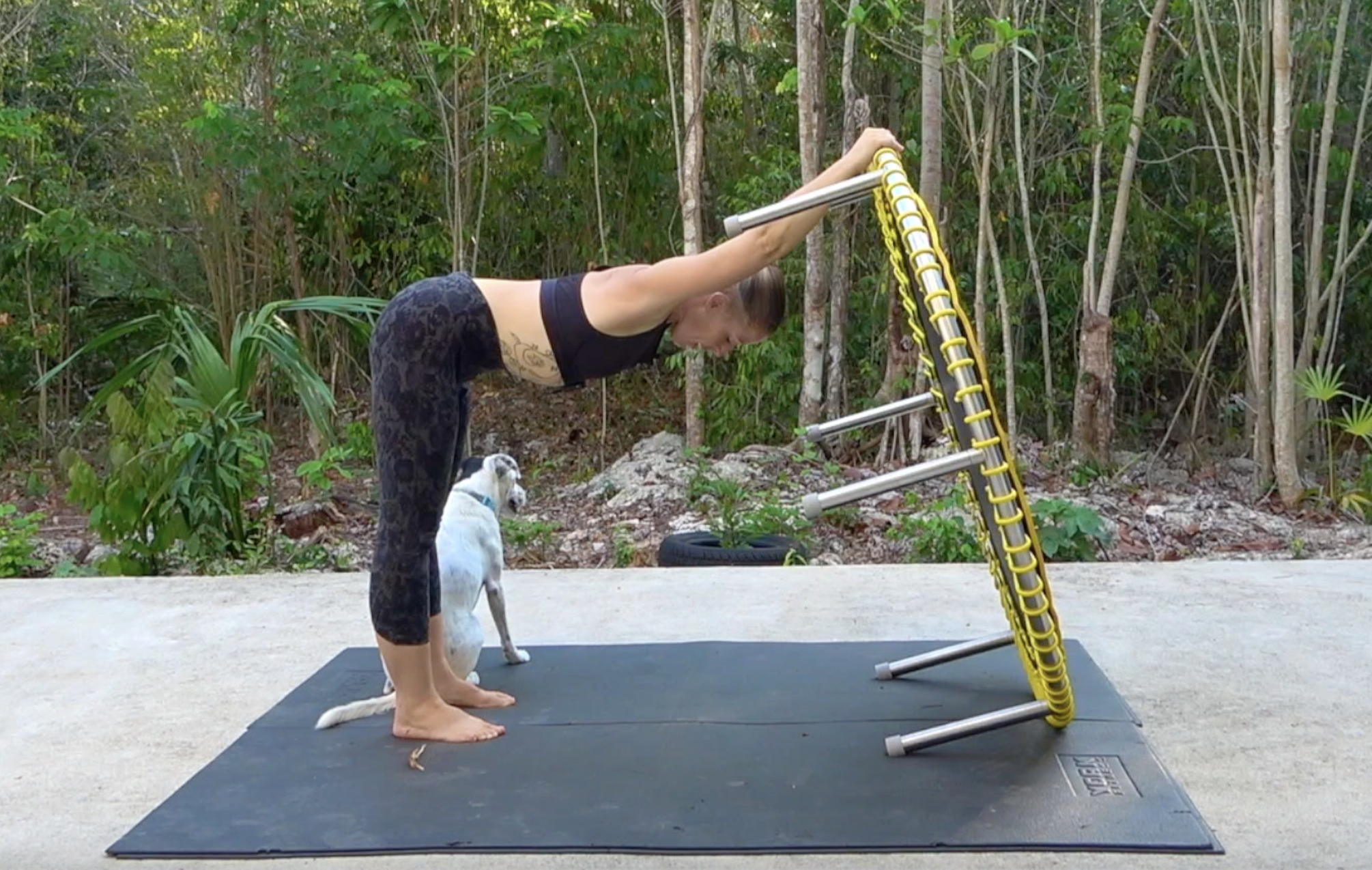 Supple Strength - SanFran Fitness